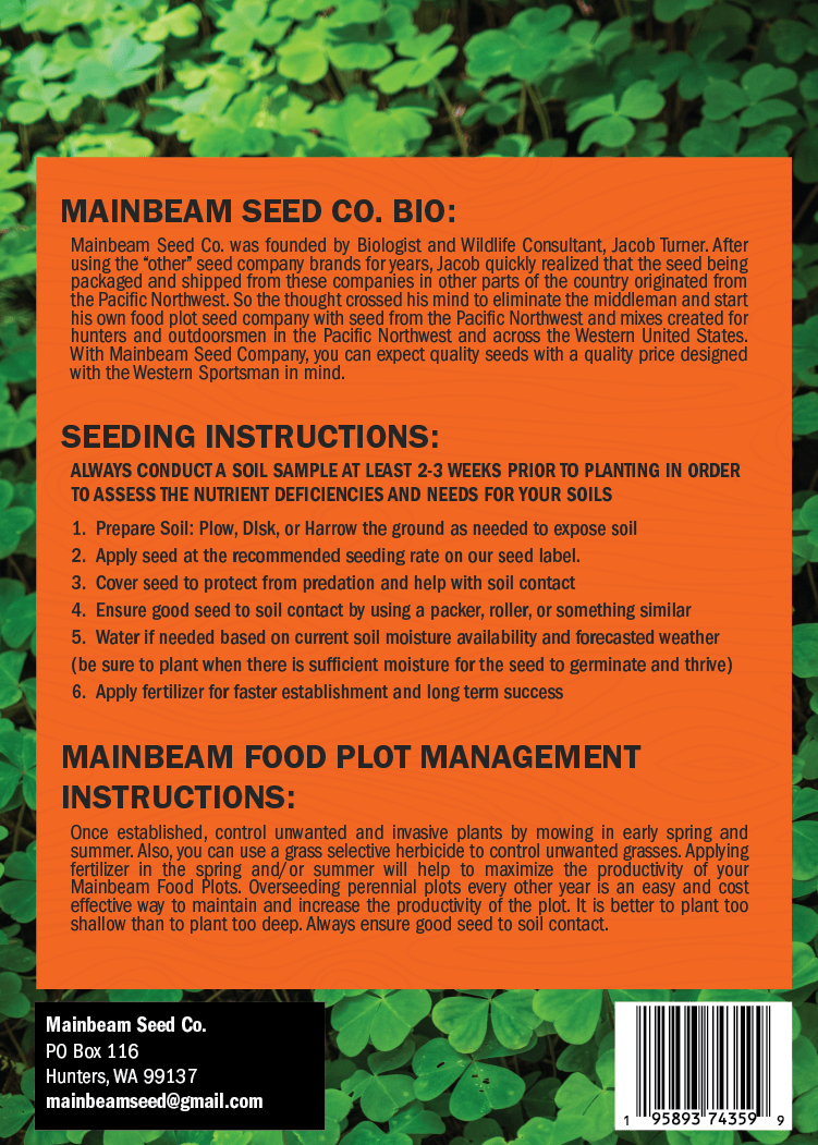 Clover X – MainBeam Seed